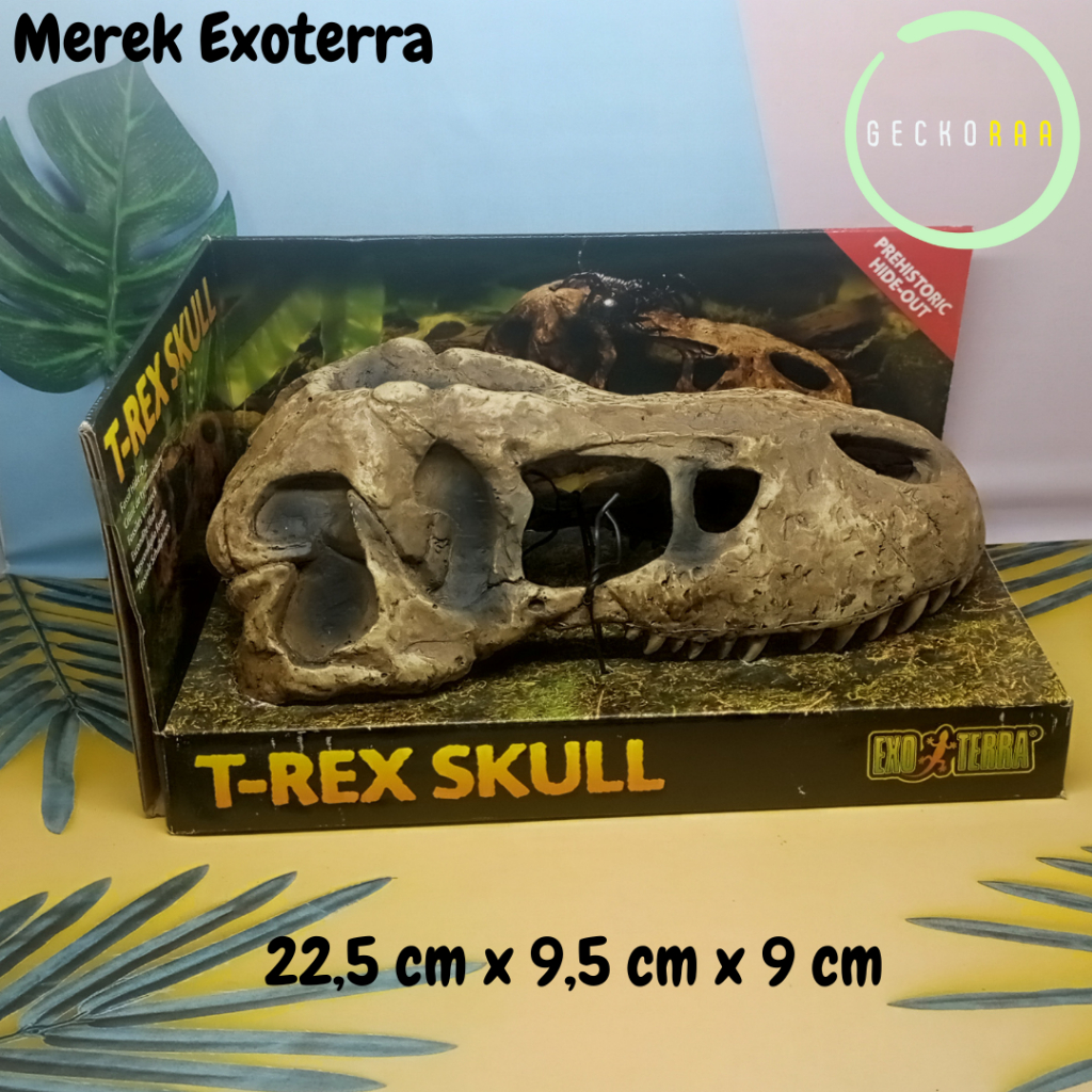 Jual T-Rex Skull Exoterra Hiasan Kandang Hiding Cave Kadal Reptil Gecko ...