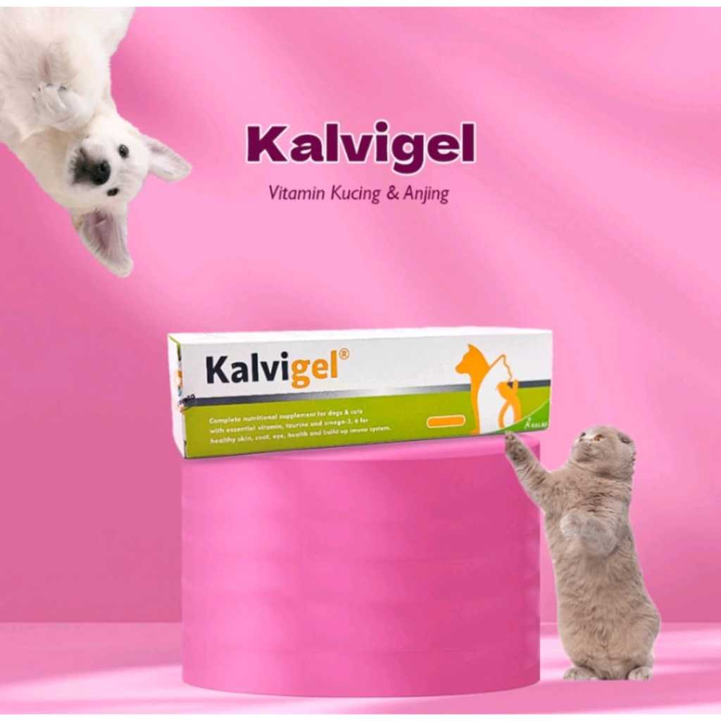 Jual KALVIGEL 60 G | Shopee Indonesia