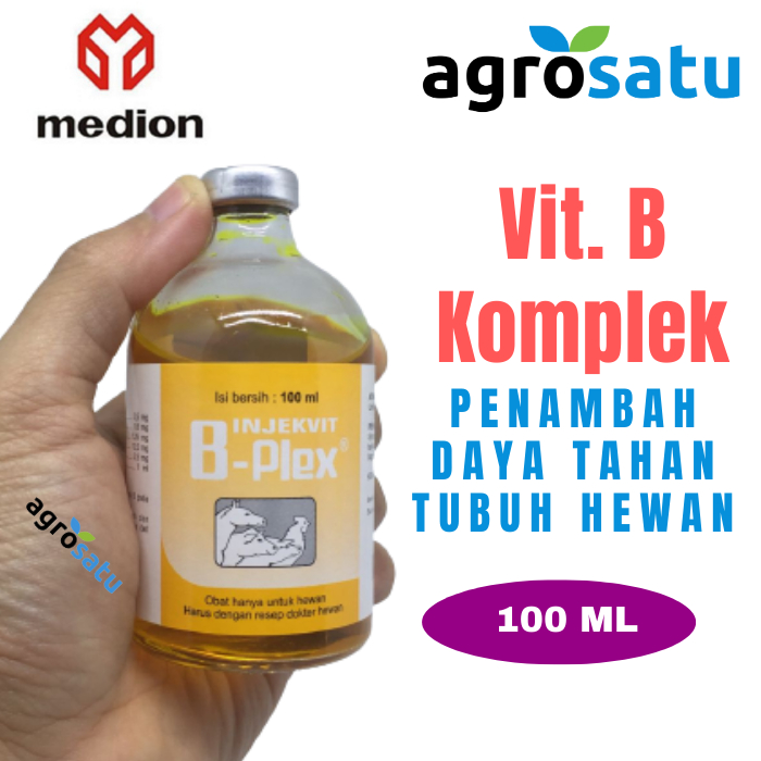 Jual Vitamin B Kompleks Injeksi Hewan Ternak Ayam Sapi Kambing Domba ...