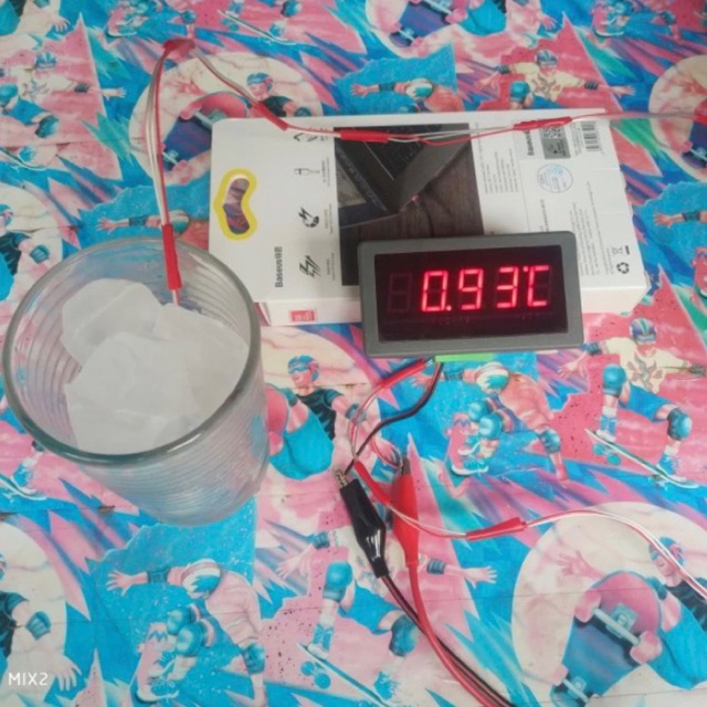 Jual Accuracy 0.1C High Precision PT100 Thermometer Display PT100 4 ...