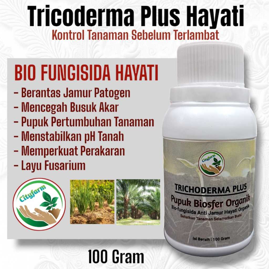 Jual Tricoderma Bio Agen Hayati Pengendali Jamur Organik Dan Sebagai ...