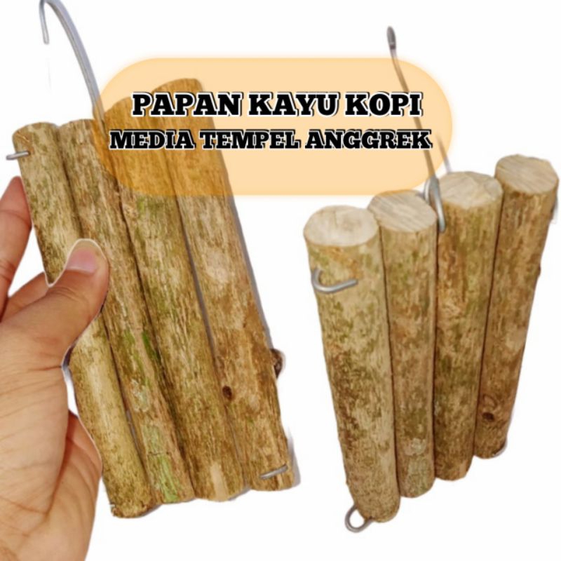 Jual Papan Kayu Kopi 10x20 Media Tempel Anggrek | Shopee Indonesia