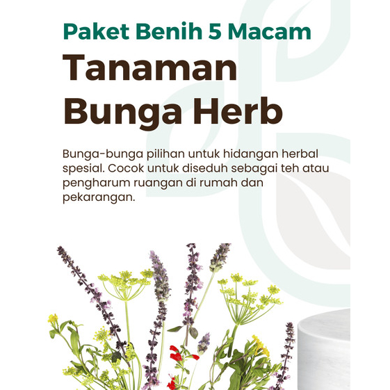 Jual Paket 5 Macam Benih Bunga Herbal Bibit Bunga Tanaman Herb seeds ...
