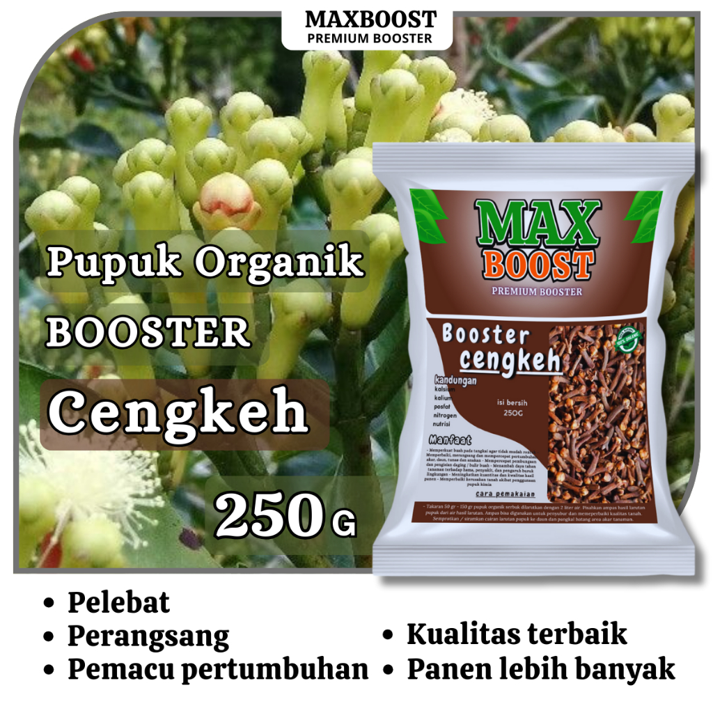 Jual Pupuk booster MAXBOOST Cengkeh Cepat Berbunga Pupuk Cengkeh Terbaik Pupuk Organik Pelebat ...