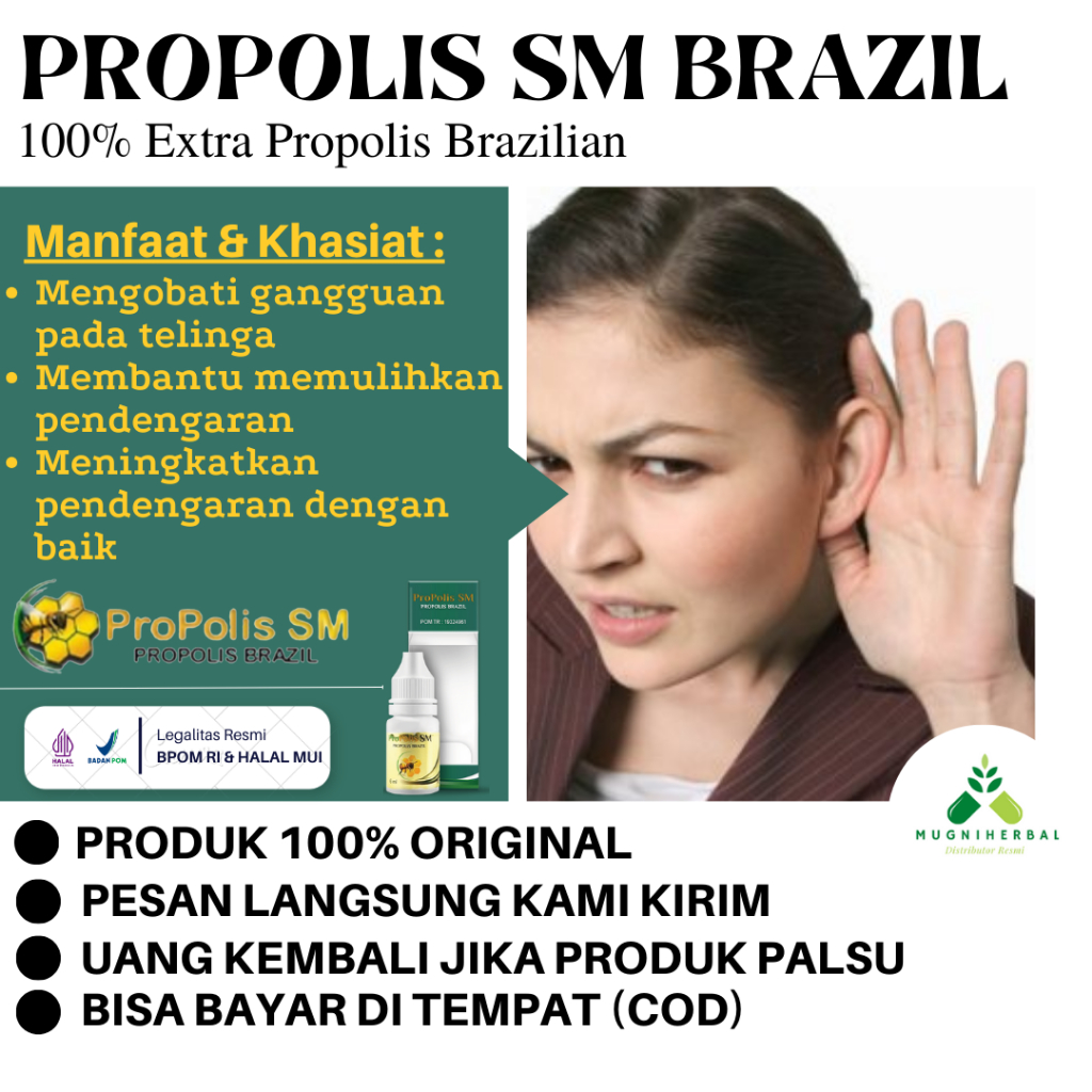 Jual Propolis SM - Obat Telinga Kurang Pendengaran, Obat Tetes Telinga ... Jual Propolis SM - Obat Telinga Kurang Pendengaran, Obat Tetes Telinga ...