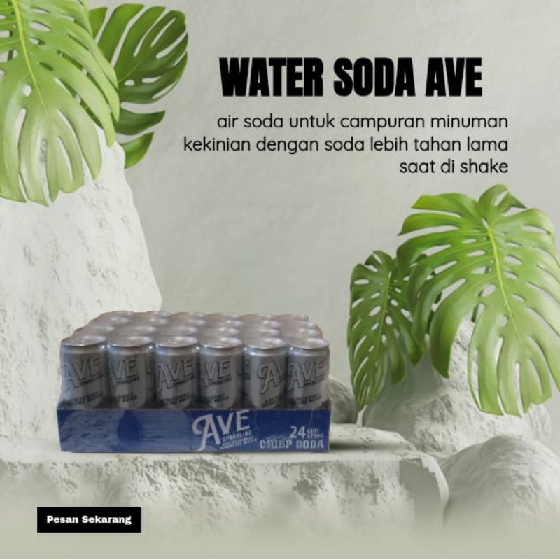 Jual air soda / water soda merek Ave 325 ML ( 1 karton isi 24 kaleng ...