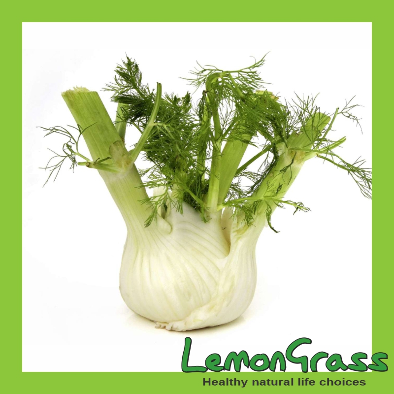 Jual Fennel Fresh per pack Kirim Instan | Shopee Indonesia