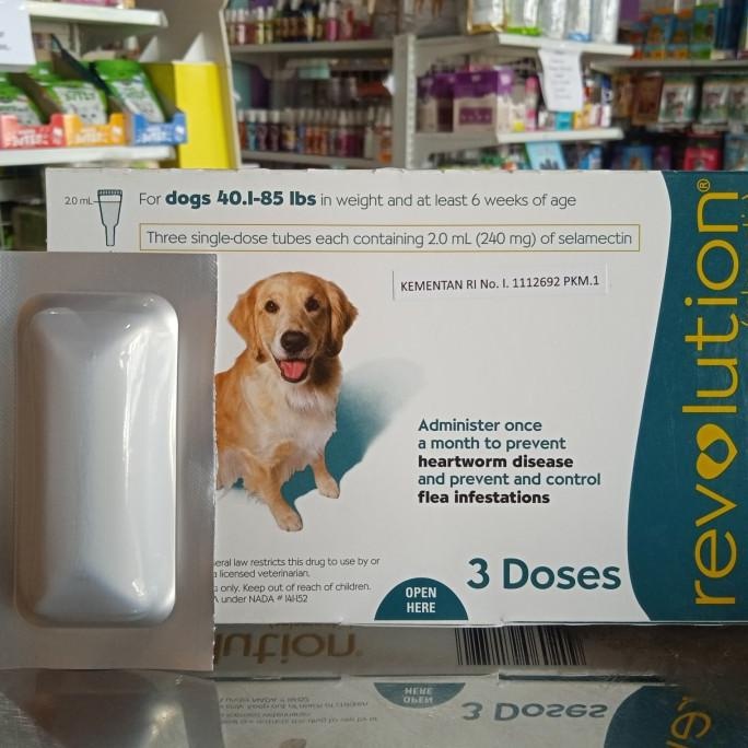 Jual REVOLUTION Anjing Teal / REVOLUTION TEAL / OBAT KUTU ANJING Berat ...