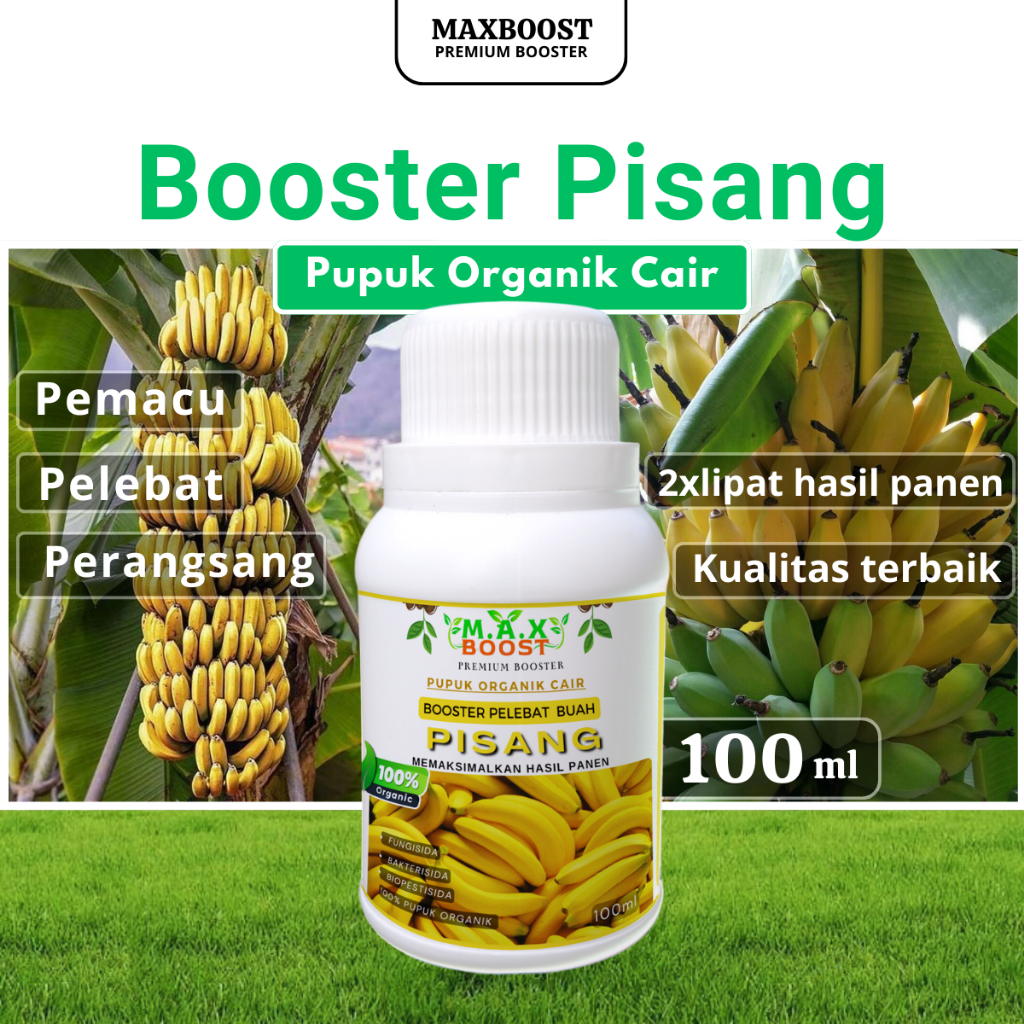 Jual Booster Pisang 100ml pupuk organik cair pelebat pisang pupuk pemacu pertumbuhan dan ...