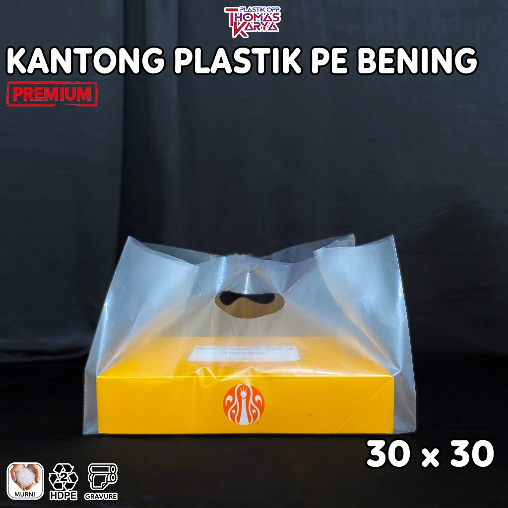 Jual ECER Paper Bag Plastik Dove Motif Ulang Tahun Anak / Tas Bingkisan Thank You Custom ...