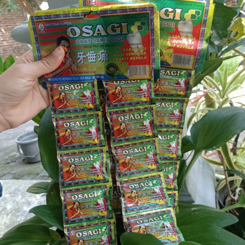 Jual osagi hijau isi 20 sachet 2 kapsul | Shopee Indonesia