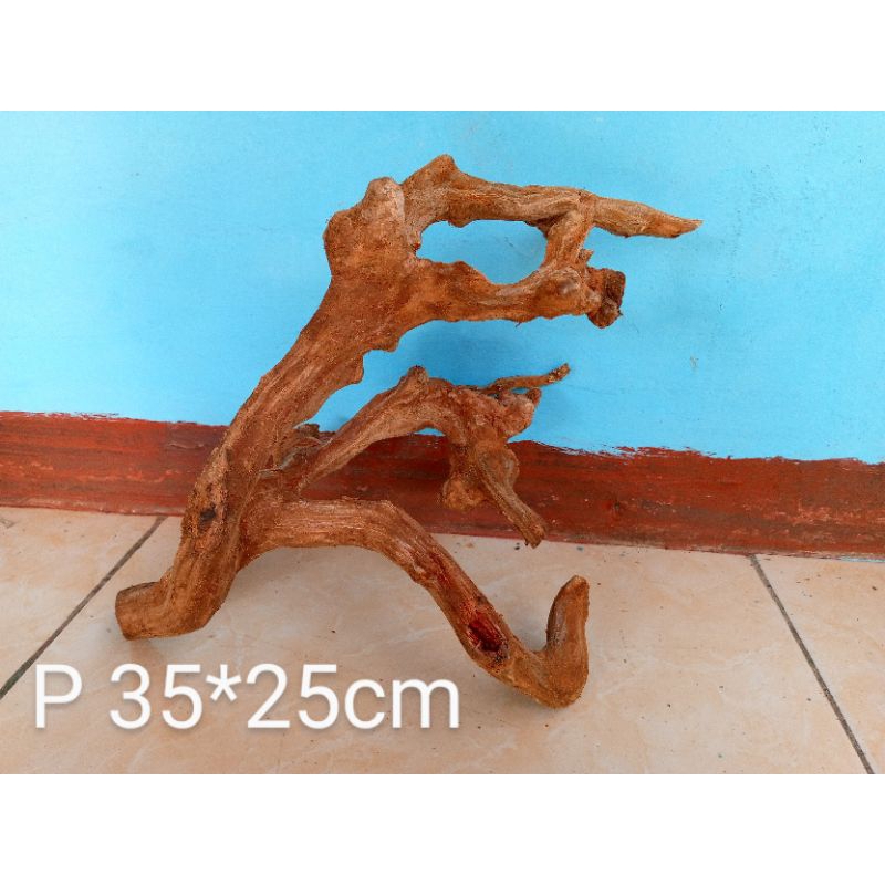 Jual kayu santigi gunung | Shopee Indonesia