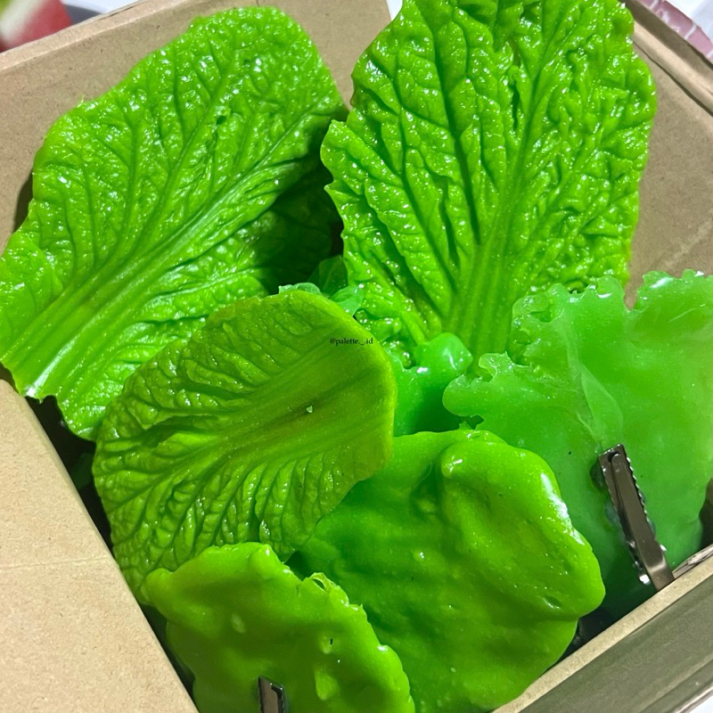 Jual CABBAGE HAIR CLIP SELADA JEPIT RAMBUT BAEKHYUN | Shopee Indonesia