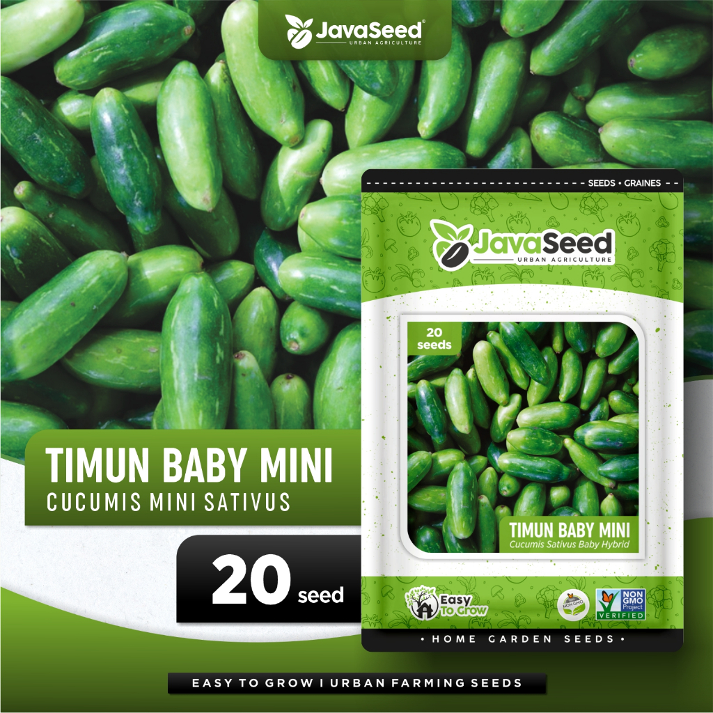 Jual JAVASEED - Benih Mentimun Lalap Timun Baby Mini Vanesa 20 Benih ...