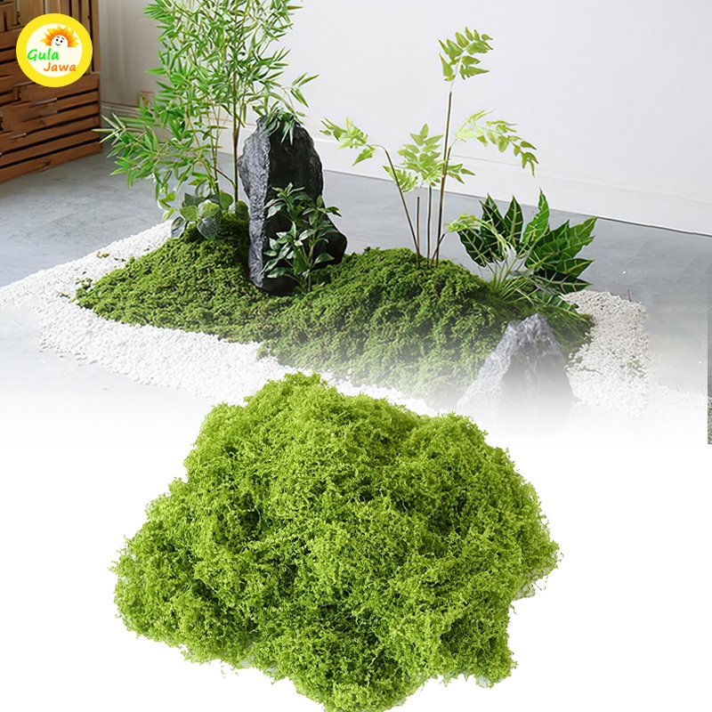 Jual Lumut Abadi/Moss Dried/Lumut Awetan/Dekorasi Moss/Ekorasi Lumut ...
