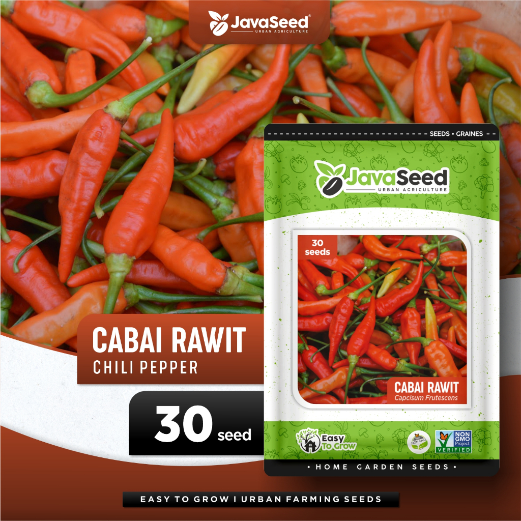 Jual JAVASEED - Benih Cabai Rawit Cabe Rawit Chili Pepper 30 Benih ...