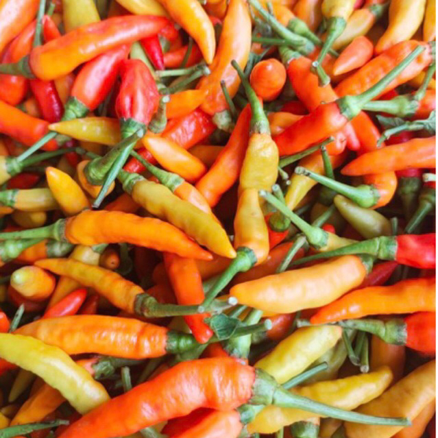 Jual Cabe rawit merah ori fresh | Lombok rawit merah ori fresh 1kg ...