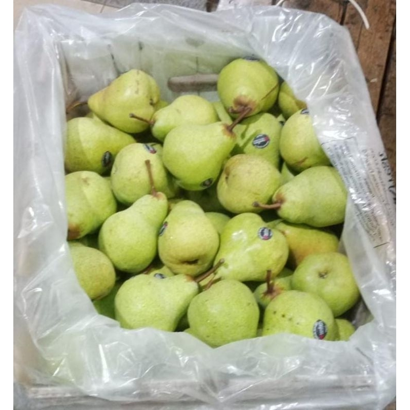Jual Indukbuah Buah Pear Pakham Pear Hijau Pear Jambu 1 Dus 11kg ...