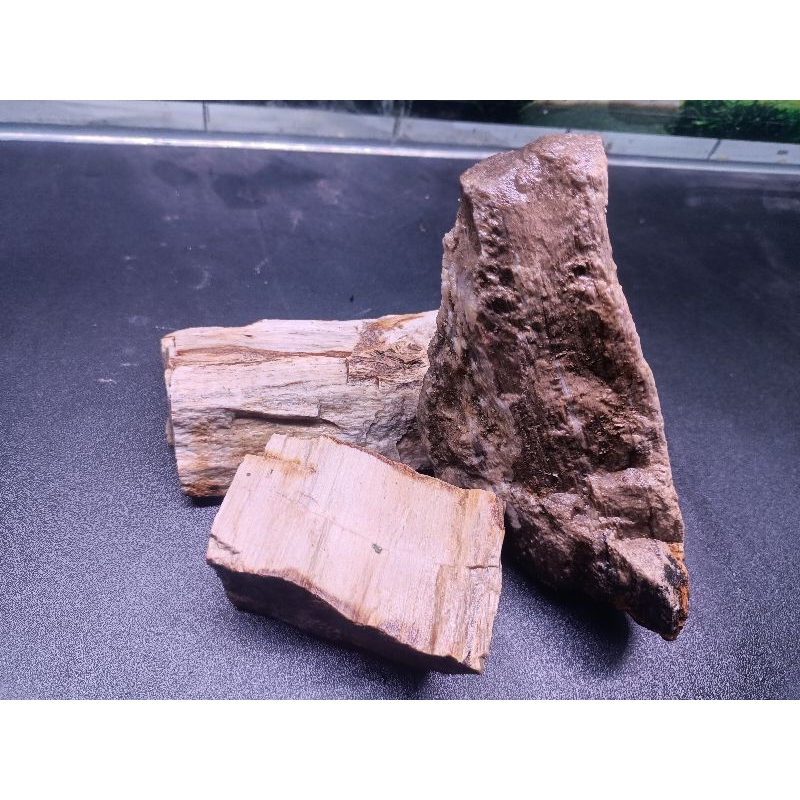 Jual Batu Fossil Taman Aquascape paludarium Batu Aquascape Aquarium 1kg ...