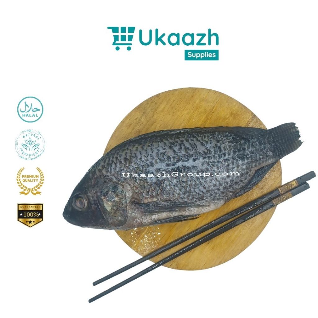 Jual Ukaazh Ikan Nila Hitam 1/4 Kg 250 Gram Frozen Fresh Segar | Shopee ...