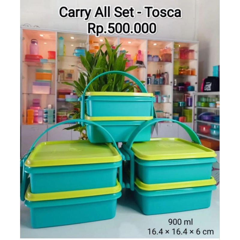 Jual Small carry all set tupperware | Shopee Indonesia