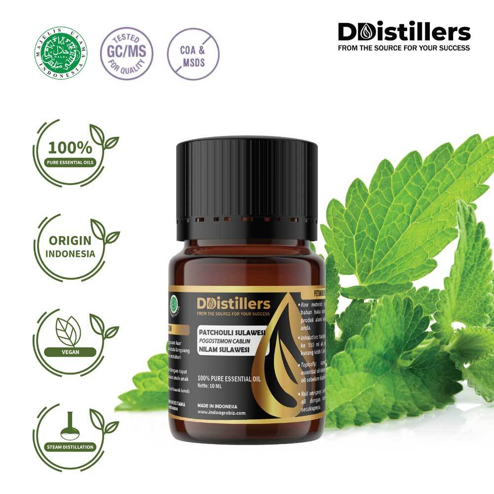 Jual Patchouli Sulawesi / Nilam Sulawesi Essential Oil MURNI 100%, 2 ...