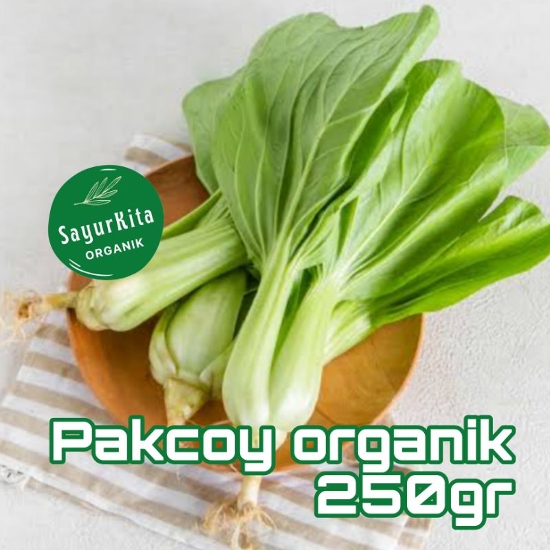Jual Pakcoy Organik (bebas pestisida) 250gr - 1kg | Shopee Indonesia
