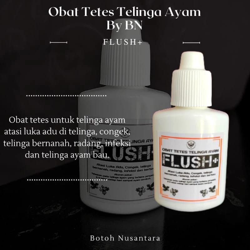 Jual OBAT TETES TELINGA AYAM CONGE TELINGA AYAM BAU INFEKSI BERNANAH ...