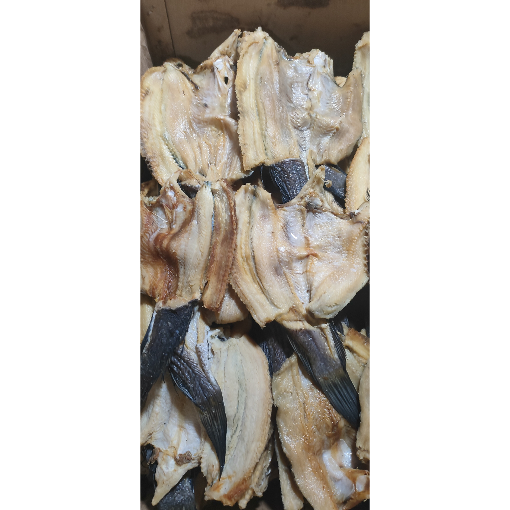 Jual Ikan kering Haruan atau Ikan Gabus | Shopee Indonesia