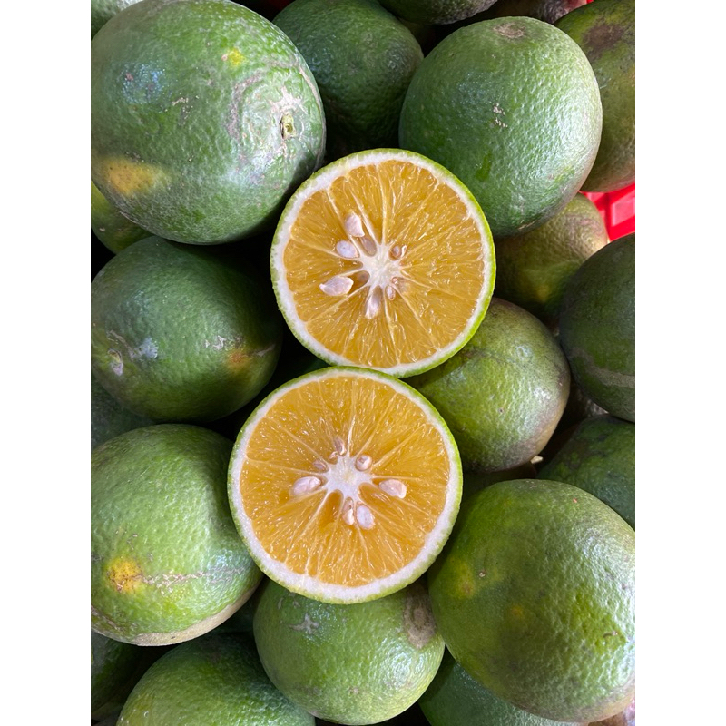 Jual Jeruk Baby Java Malang 1kg isi 3 sampai 4buah | Shopee Indonesia