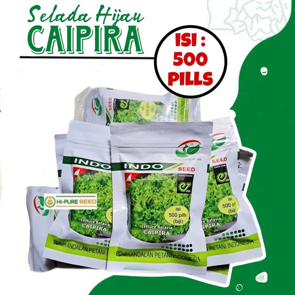 Jual Benih Selada Caipira Lettuce Batavia Isi 500 Pills Original ...