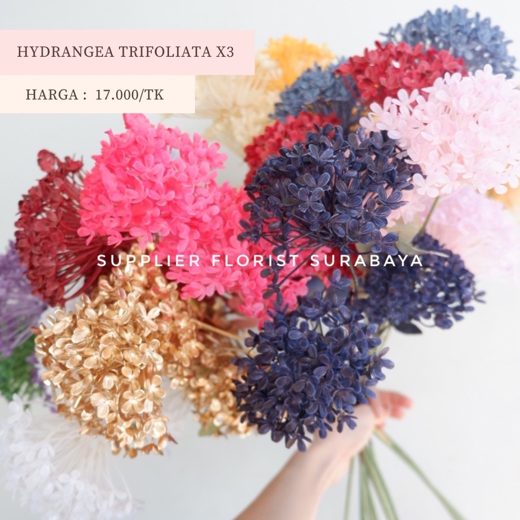 Jual [3 KEPALA] HYDRANGEA TRIFOLIATA X3 BUNGA PALSU HYDRANGEA SNOWBALL ...