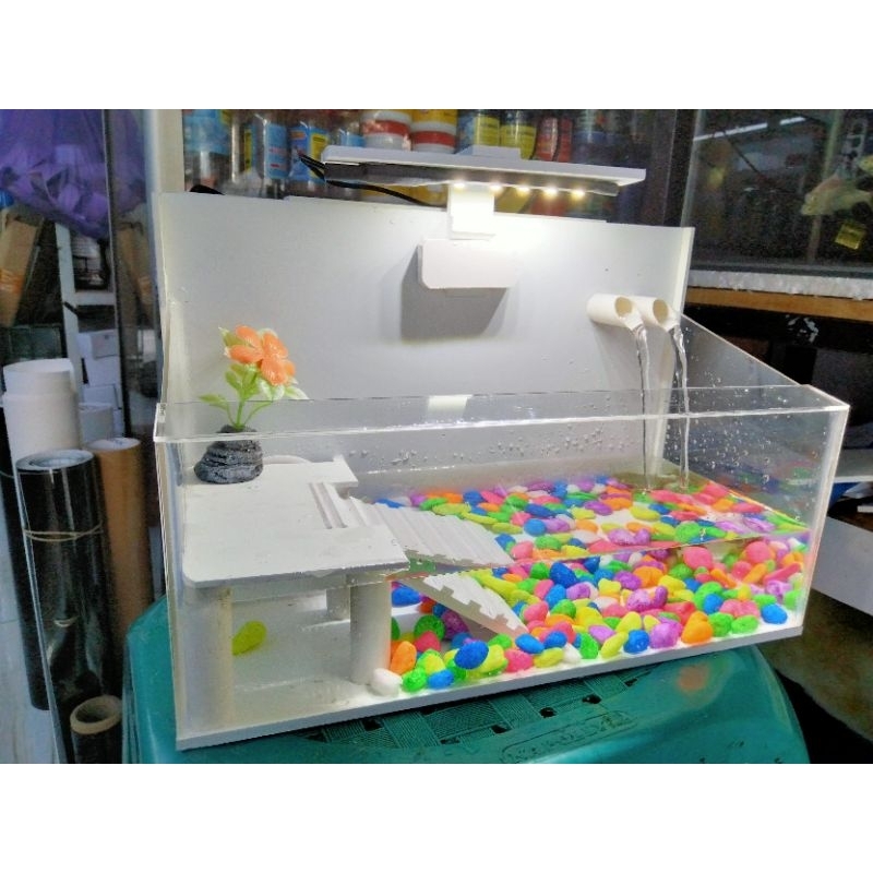 Jual AQUARIUM kura kura brazil Bahan pvc board akrilik ukuran 30*20*20 ...