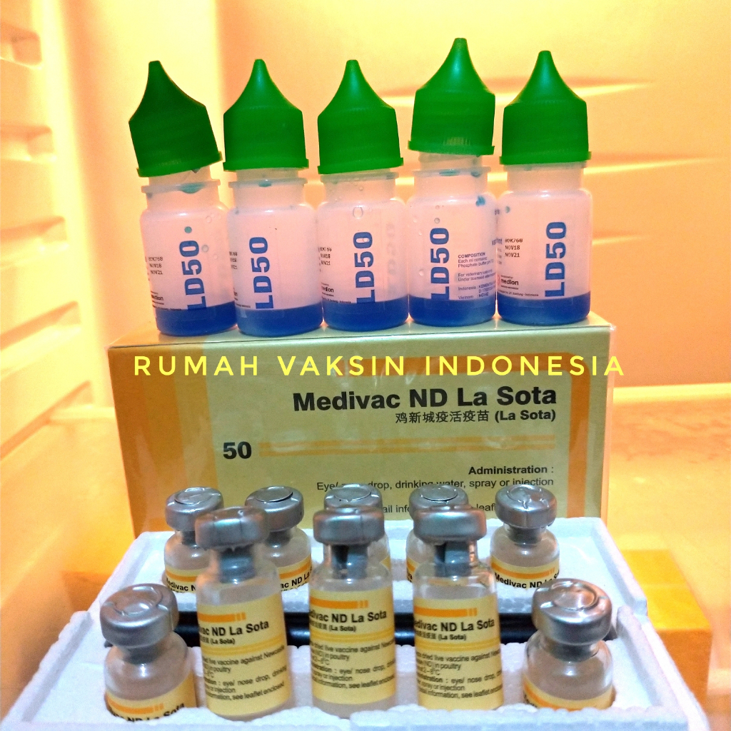 Jual Vaksin Ayam Medivac ND LASOTA dosis untuk 100 500 ayam | Shopee ...