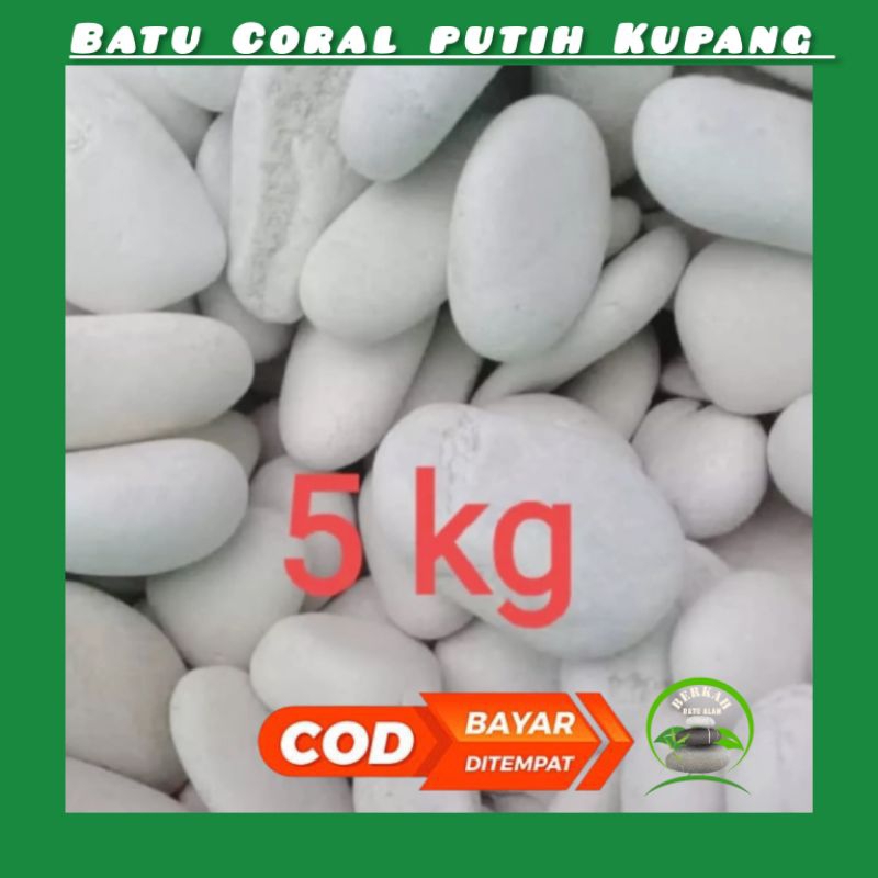 Jual batu Coral putih Kupang 5kg / hiasan taman / aquarium dll | Shopee ...