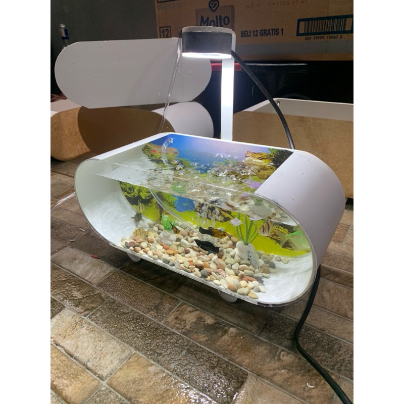 Jual AQUARIUM MINI IKAN HIAS / AKUARIUM MINIMALIS 1 SET LENGKAP BAHAN ...