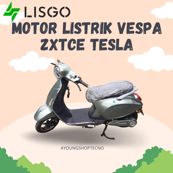 Jual LISGO Motor Listrik Goodrich Zxtce Tesla 1000Watt 60V/22.3AH ...
