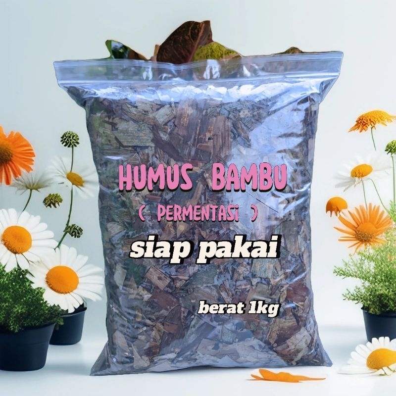 Jual Media tanam humus daun bambu murni (siap pakai) 1kg, cocok untuk ...