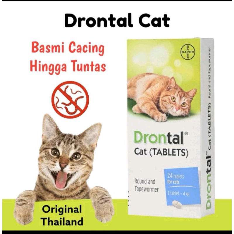 Jual DRONTAL CAT OBAT CACING KUCING DEWASA DAN KITTEN TABLET | Shopee ...