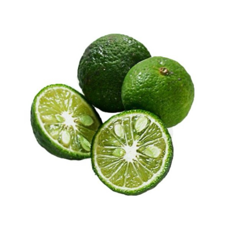 Jual Jeruk Limau Jeruk Sambel Jeruk Limau Baso Aci Segar | Shopee Indonesia