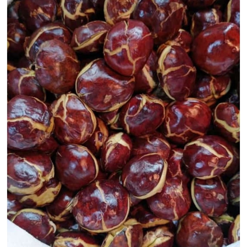 Jual JENGKOL BEWEH TUA PUL 1KG | Shopee Indonesia