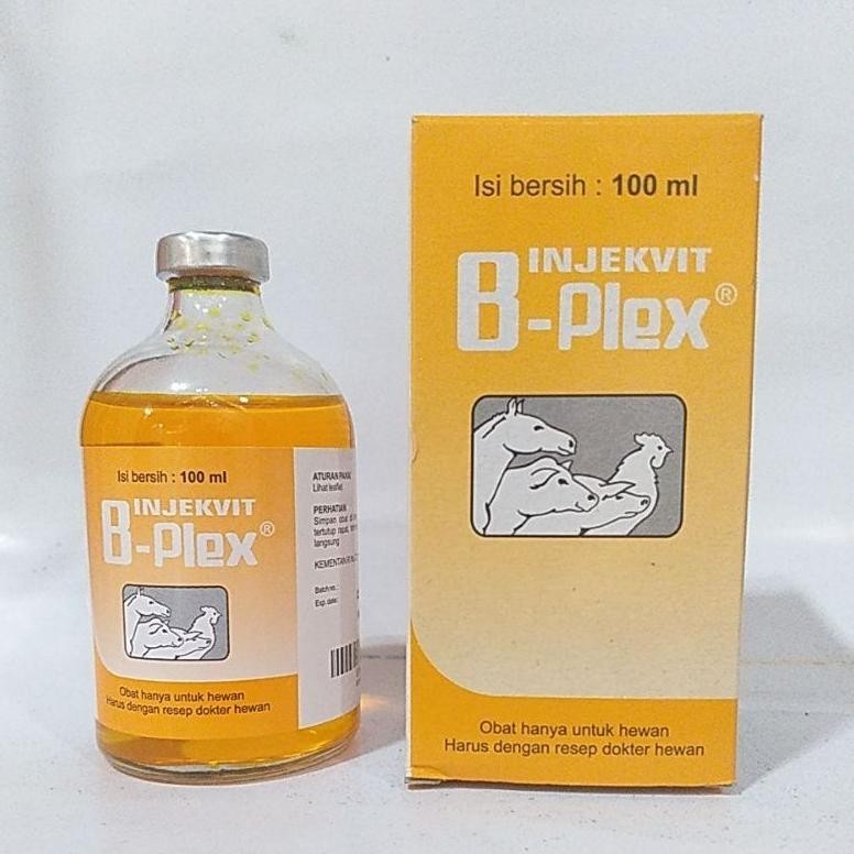 Jual VITAMIN B KOMPLEK INJEKSI 100 ML | Shopee Indonesia