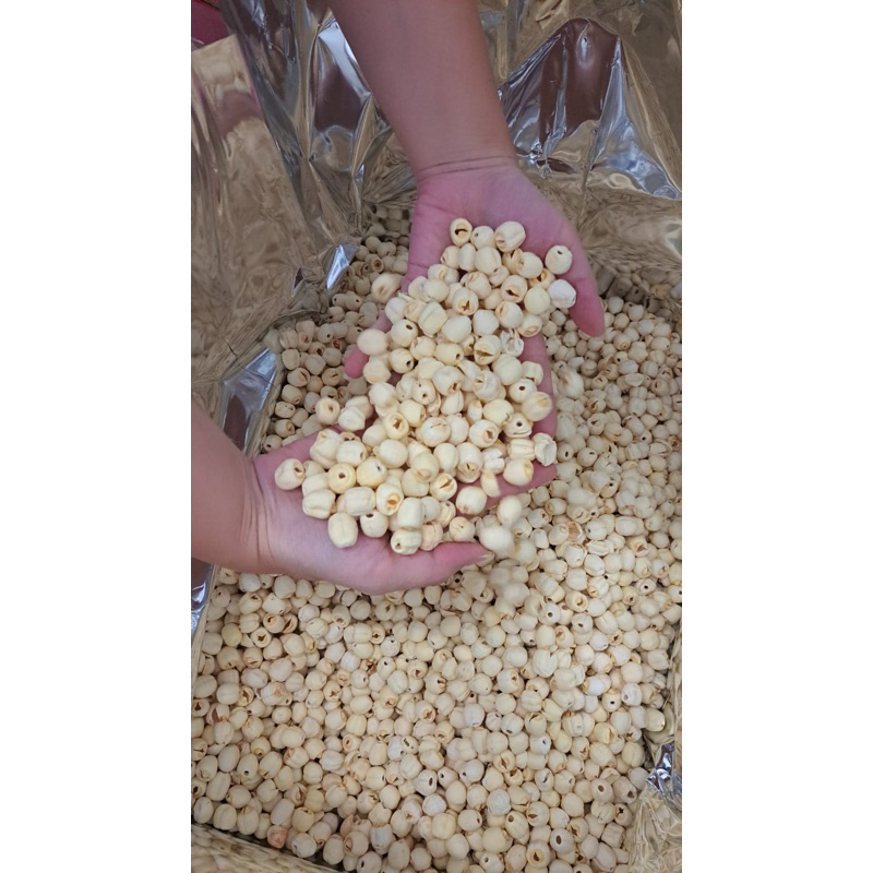 Jual Lotus seed Premium Lianzi biji teratai grade premium 250gr 500gr ...