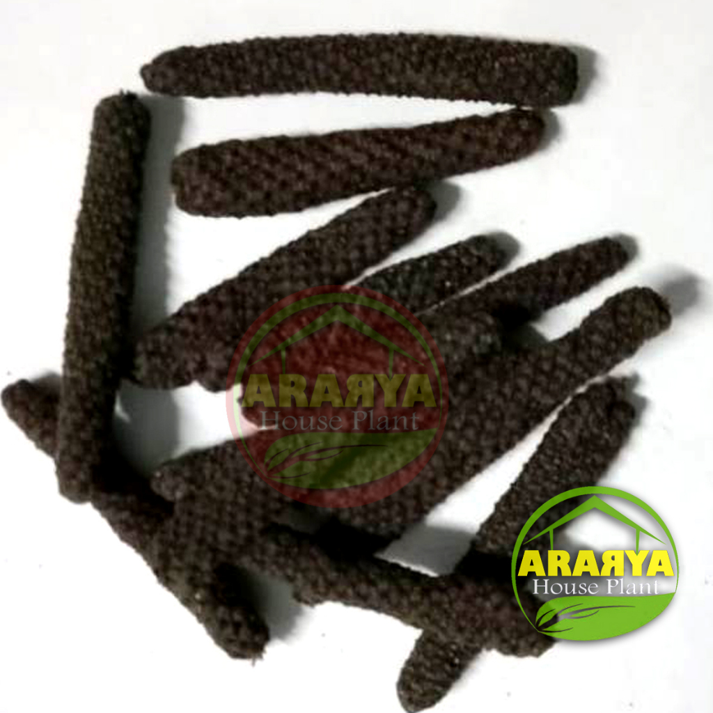 Jual [ 1 KG ] 1000 Gram Cabe Jawa UTUH SUPER Sesuai Foto / Cabe Puyang ...