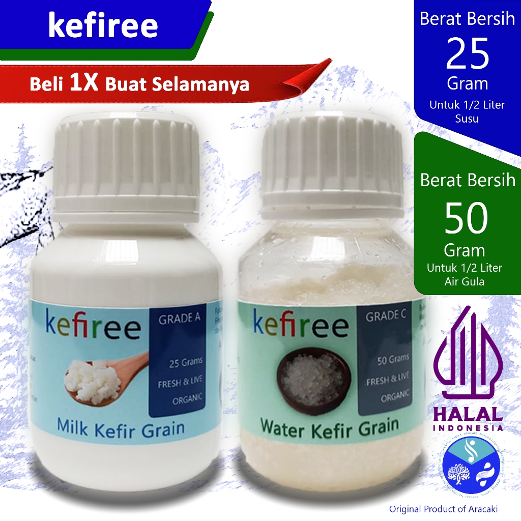 Jual BIBIT KEFIR HIDUP / KEFIR GRAIN 100% (FRESH ORGANIC) GRADE A ...