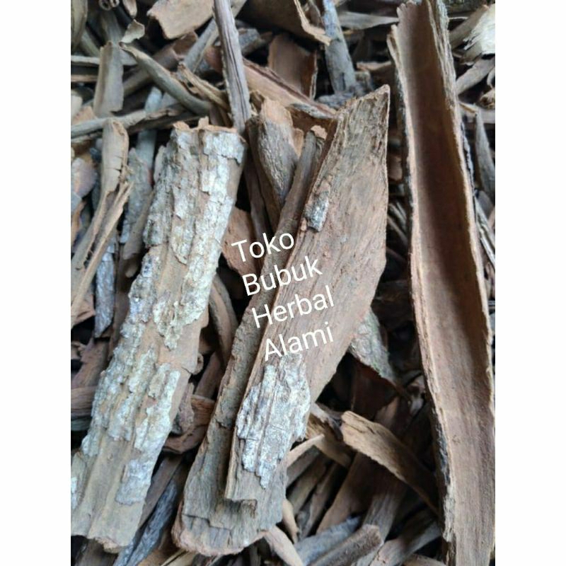 Jual KULIT KAYU KINA 1KG | Shopee Indonesia
