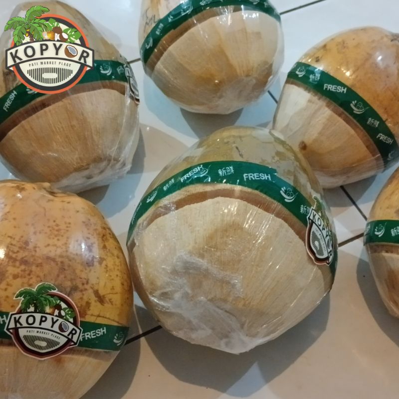 Jual Buah kelapa kopyor kecil daging super tebal | Shopee Indonesia