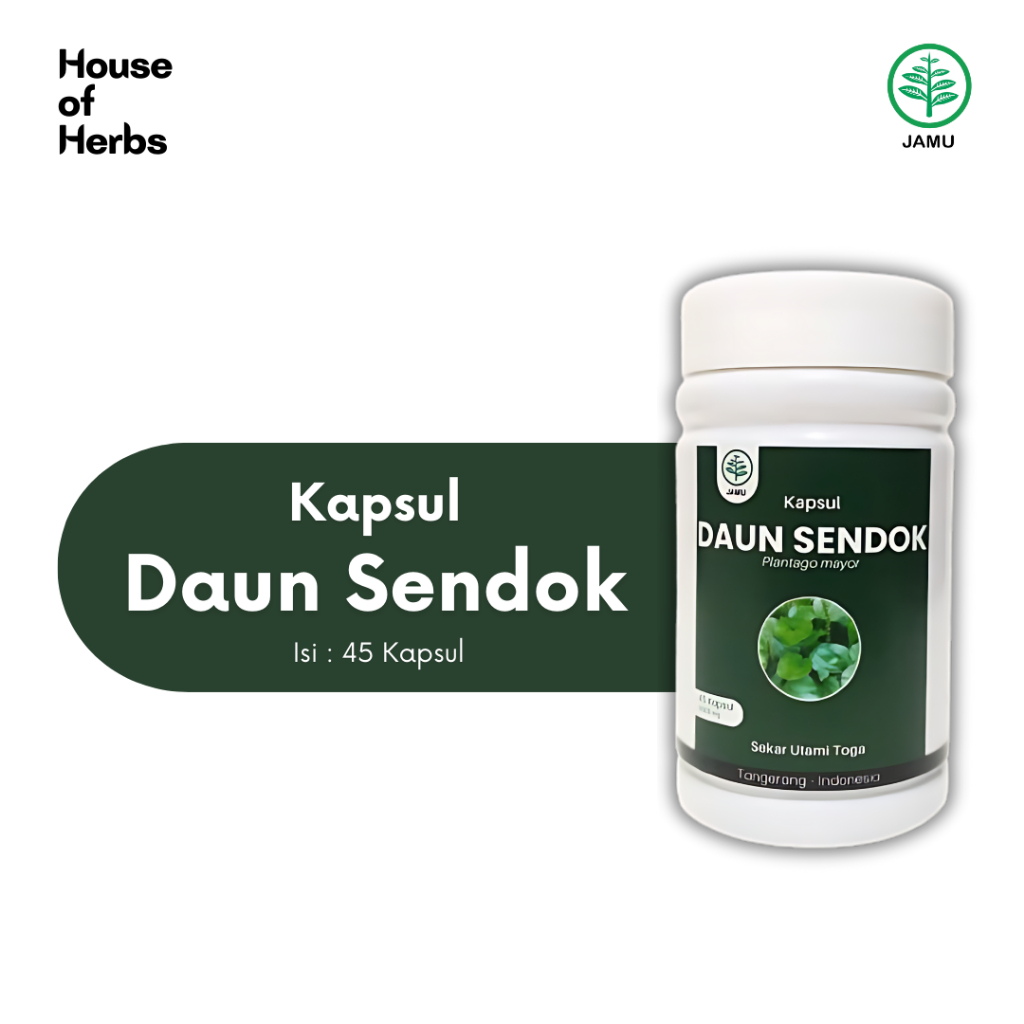 Jual Kapsul Daun Sendok | Herbal untuk mengatasi infeksi saluran kemih ...