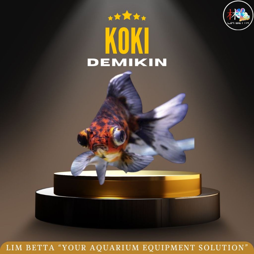 Jual KOKI DEMIKIN / MAS KOKI DEMIKIN / KOKI MATA BESAR | Shopee Indonesia