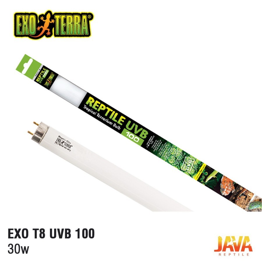 Jual Exo Terra Reptile UVB 100 Tube 30W Exoterra | Shopee Indonesia